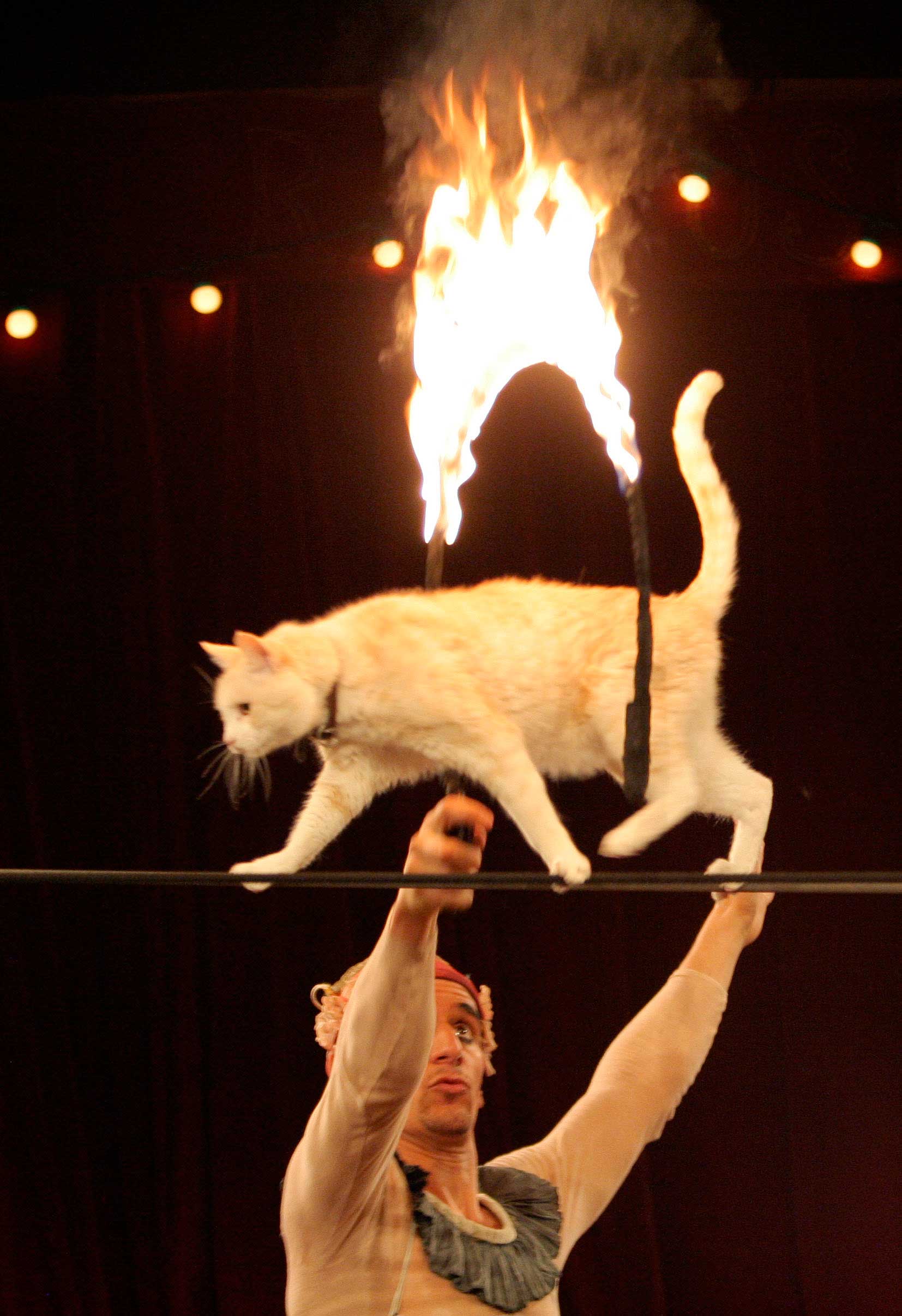 Cirque en fil - Rasposo